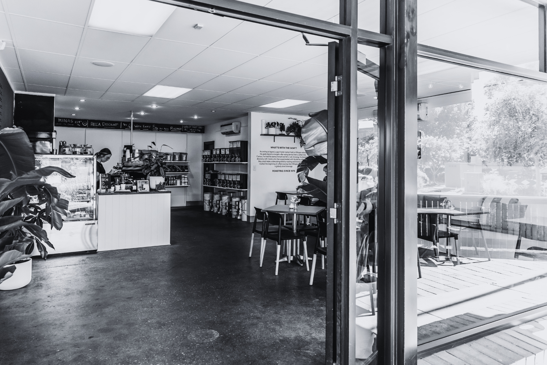 Ricca Coffee Co.